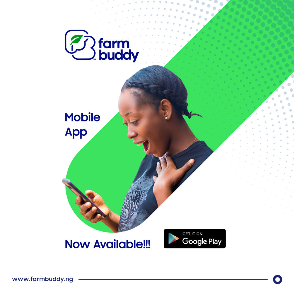 Farm Buddy launches Mobile App for Android Devices | TechCabal