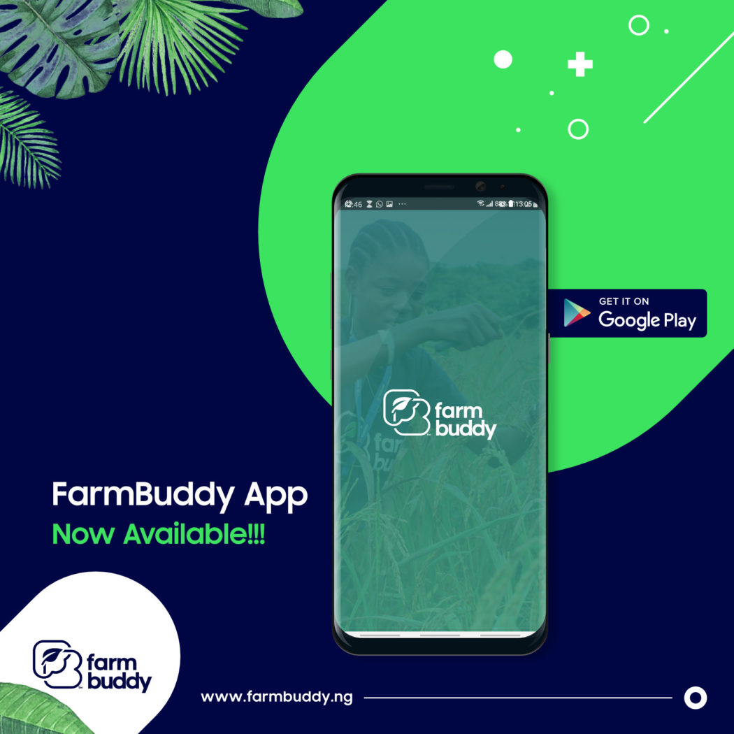 Farm Buddy launches Mobile App for Android Devices | TechCabal