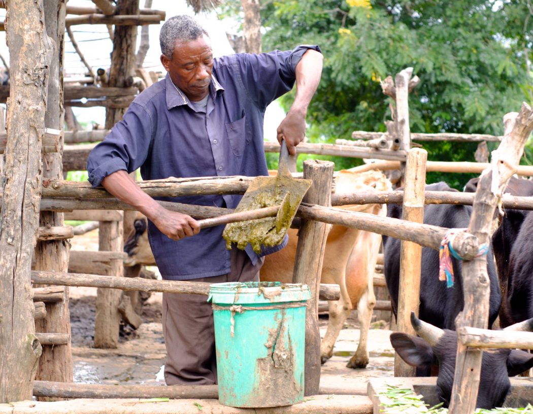 How Clement Kandodo is using biogas to help the environment in Malawi | TechCabal