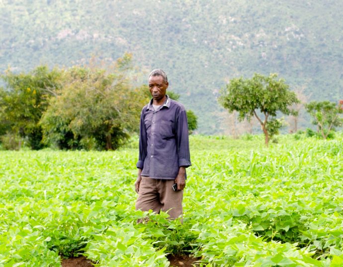How Clement Kandodo is using biogas to help the environment in Malawi | TechCabal