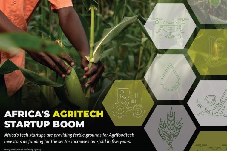 How startups are contributing to SA’s agriculture sector | TechCabal