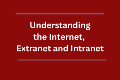 Ya conoces internet, ¿qué tal la extranet y la intranet? | TechCabal