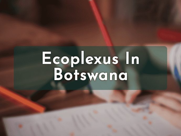 Batswana lose millions to Ecoplexus online scam | TechCabal
