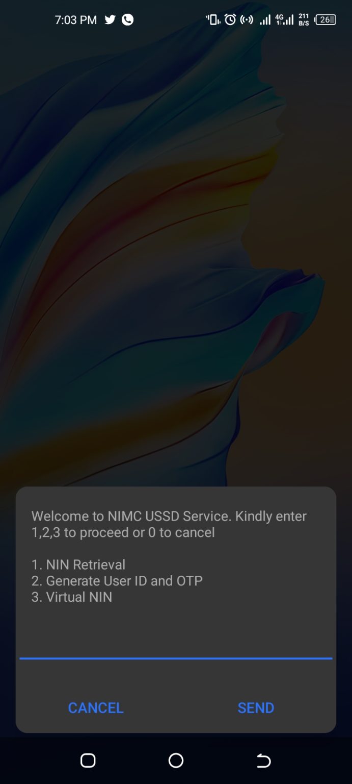 How to check NIN number easily in 2025 | TechCabal