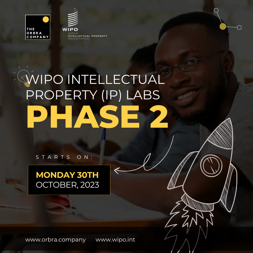 WIPO IP Labs Selects Top 21 Startups for Phase 2 Acceleration. | TechCabal