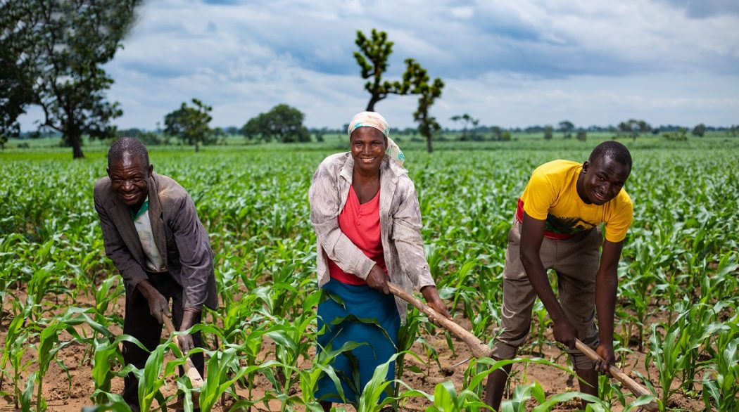 Babban Gona raises $7.5 million in debt from British International ...