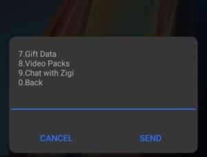 Code to share data on MTN in 2024 | TechCabal