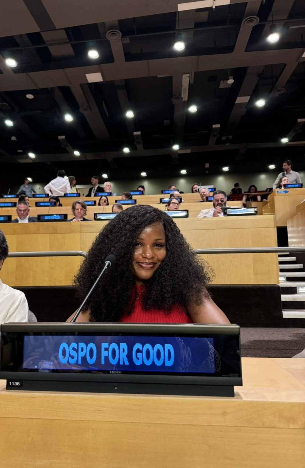 Bióloga convertida en hermana tecnológica: Ruth Ikegah quiere un legado de código abierto