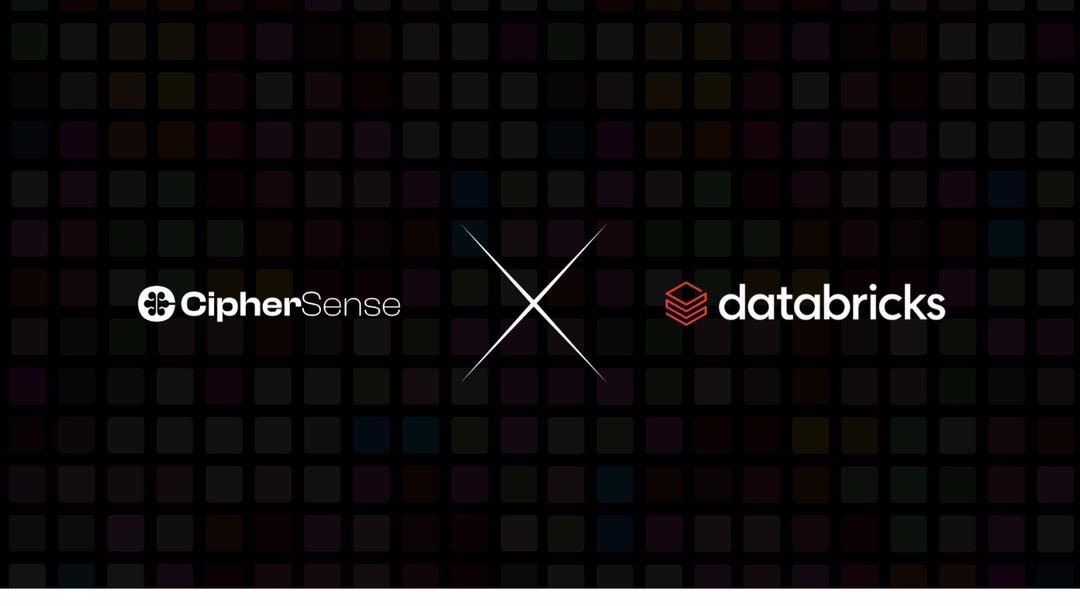 CipherSense AI Partners with Databricks to Drive Data and AI Innovation Across Africa | TechCabal